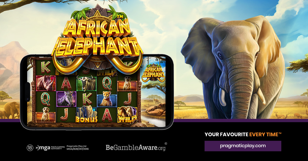 Pragmatic Play´s Slot African Elephant™ ist auf wilder Tour