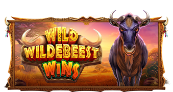 Pelaa Wild Wildebeest Wins -videokolikkopeliä Pragmatic Play -sivustolla